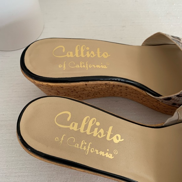 Callisto | Shoes | New Callisto Of California Cheetah Print Wedge ...